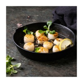 St jacobsschelpen coquilles | bestel online bij The Butchery